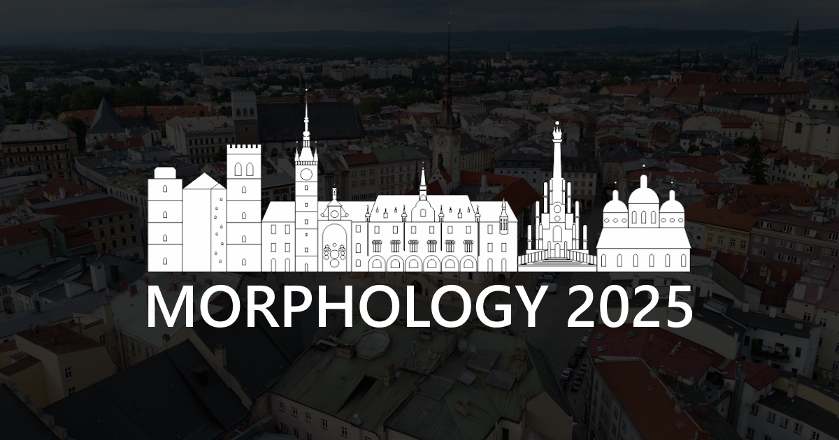 Fotogalerie | Morphology 2025